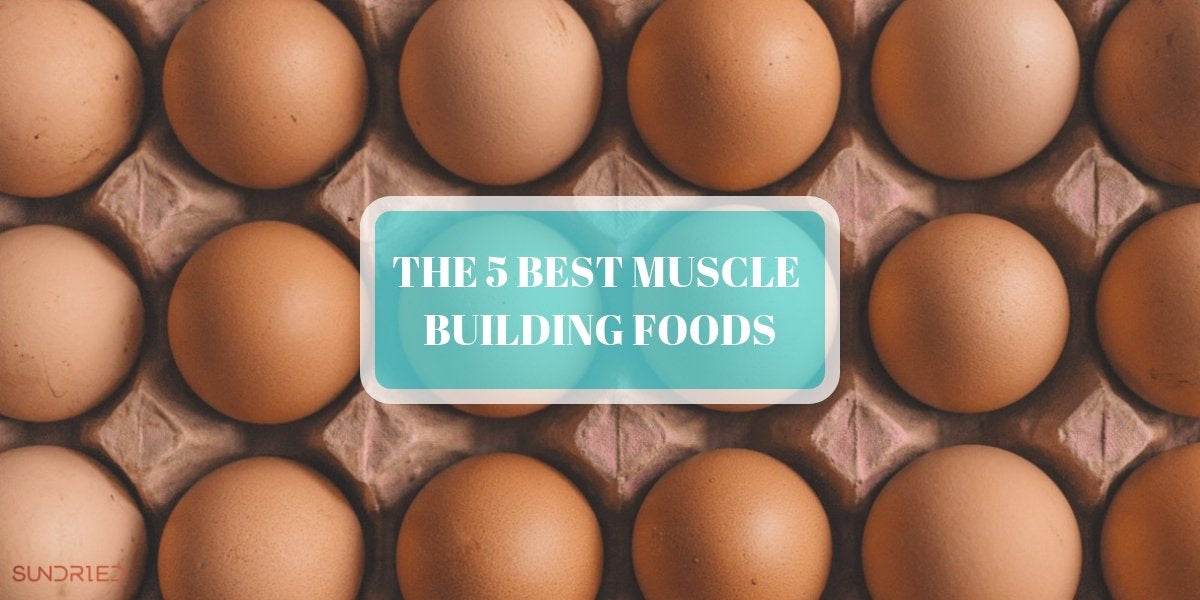 The 5 Best Muscle-Building Foods (That Aren't Just For Gym Junkies ...